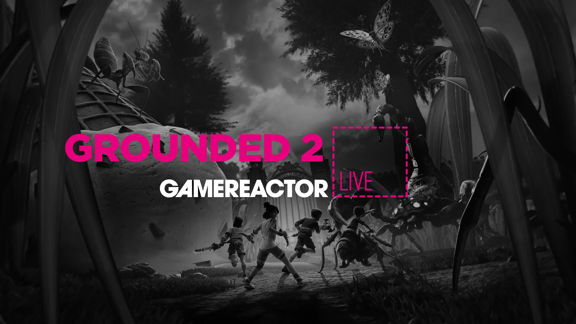 Stiamo suonando Grounded 2 su GR Live di oggi