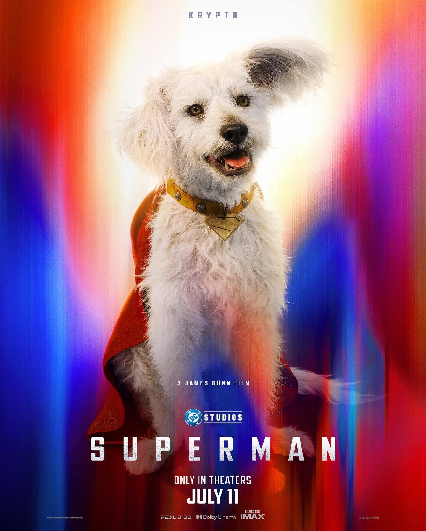Il cane di Superman aumenta le ricerche di cani da salvataggio di un ...