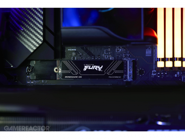 Kingston Fury Renegade G5