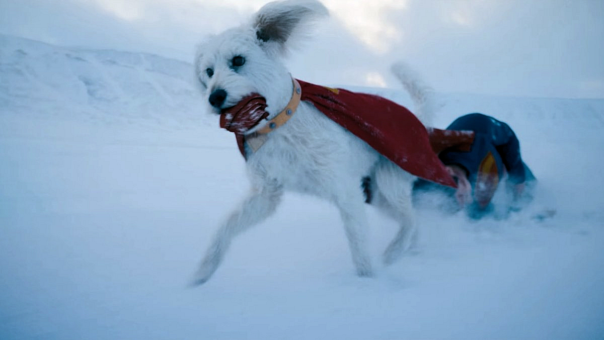 James Gunn mostra una commovente clip del suo cane che guarda Krypto in ...