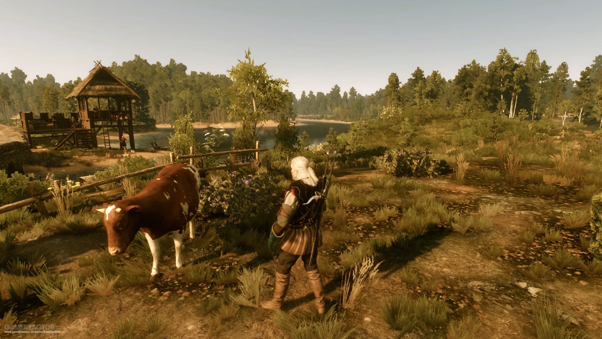 La prima vera espansione di The Witcher 3 è quasi pronta - The Witcher ...