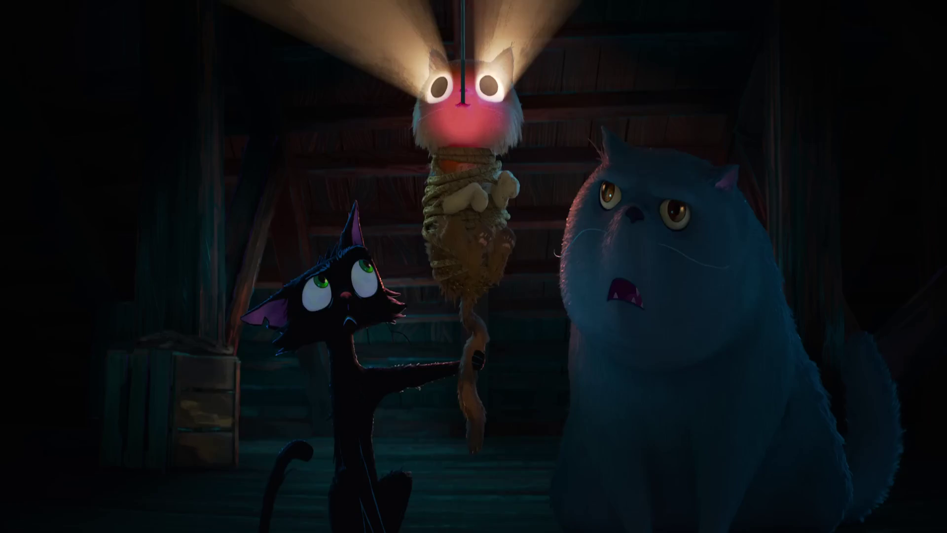 Gatto della Pixar mostra un interrogatorio di gatti nel suo primo teaser