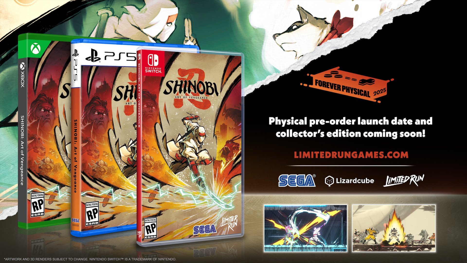 Shinobi: Art of Vengeance sta ottenendo una versione fisica per console