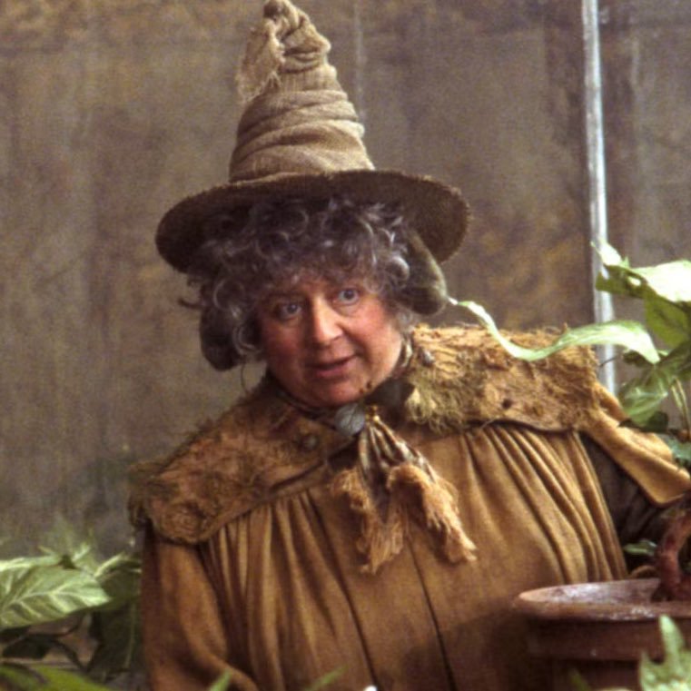 L'attrice del Professor Sprout afferma che i fan adulti "dovrebbero ...