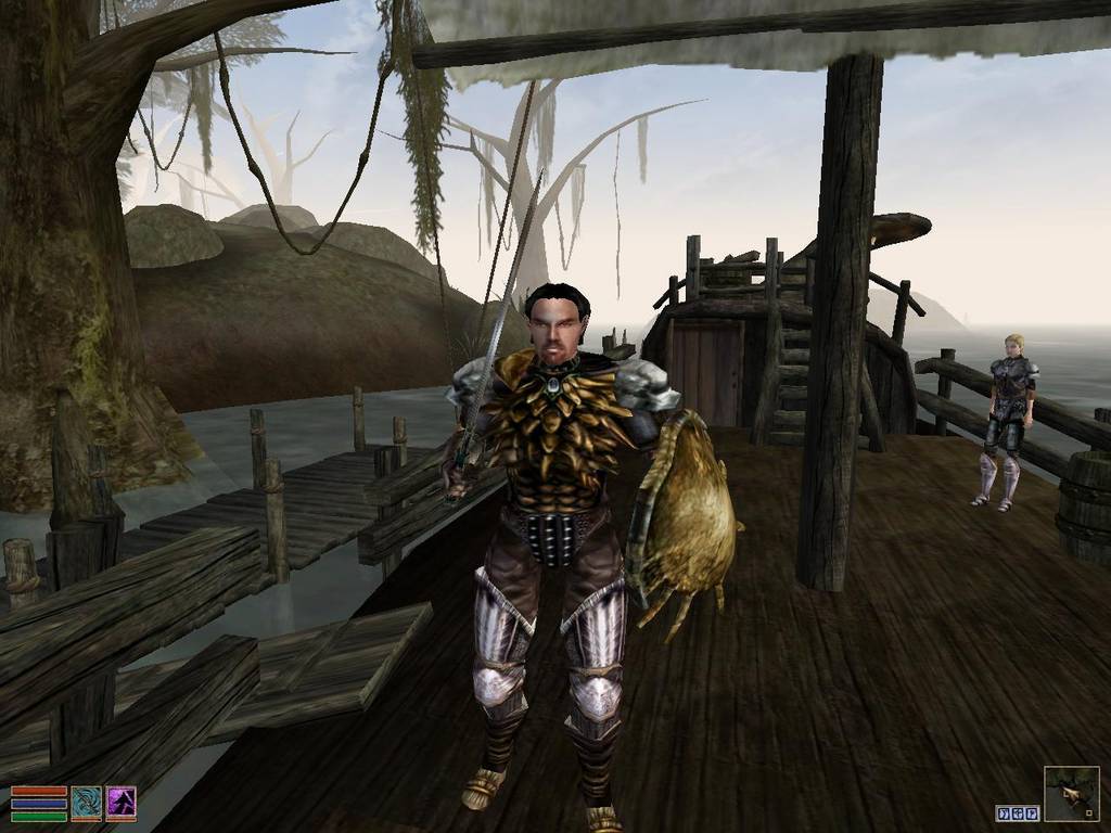 Bethesda: Non aspettatevi il remaster di Morrowind - The Elder Scrolls ...