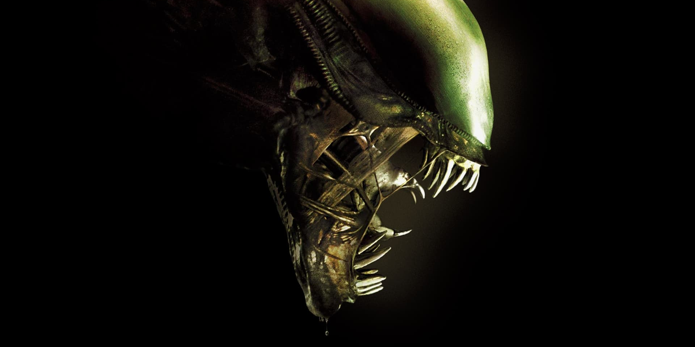 Il primo sguardo al prossimo film di Alien ci dà uno sguardo a una ...