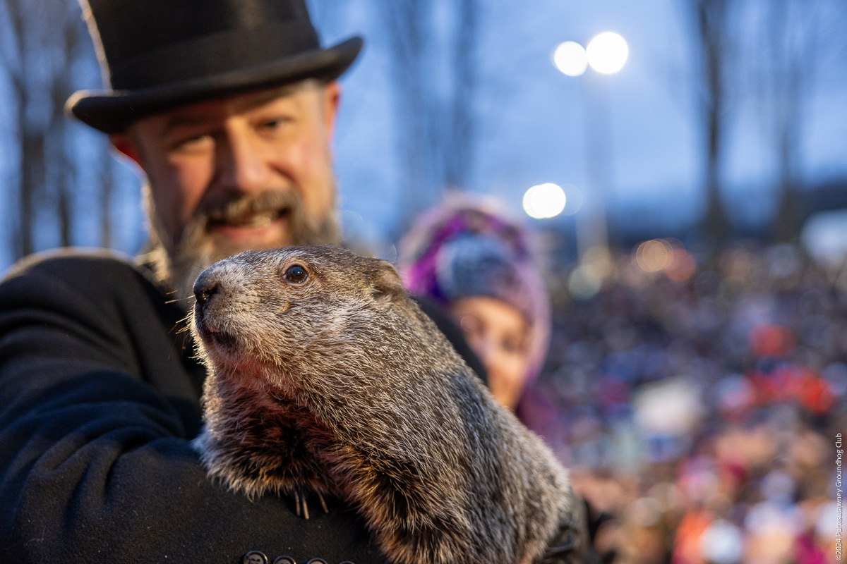 Punxsutawney Phil prevede altre sei settimane di inverno nel Giorno della Marmotta - - Gamereactor